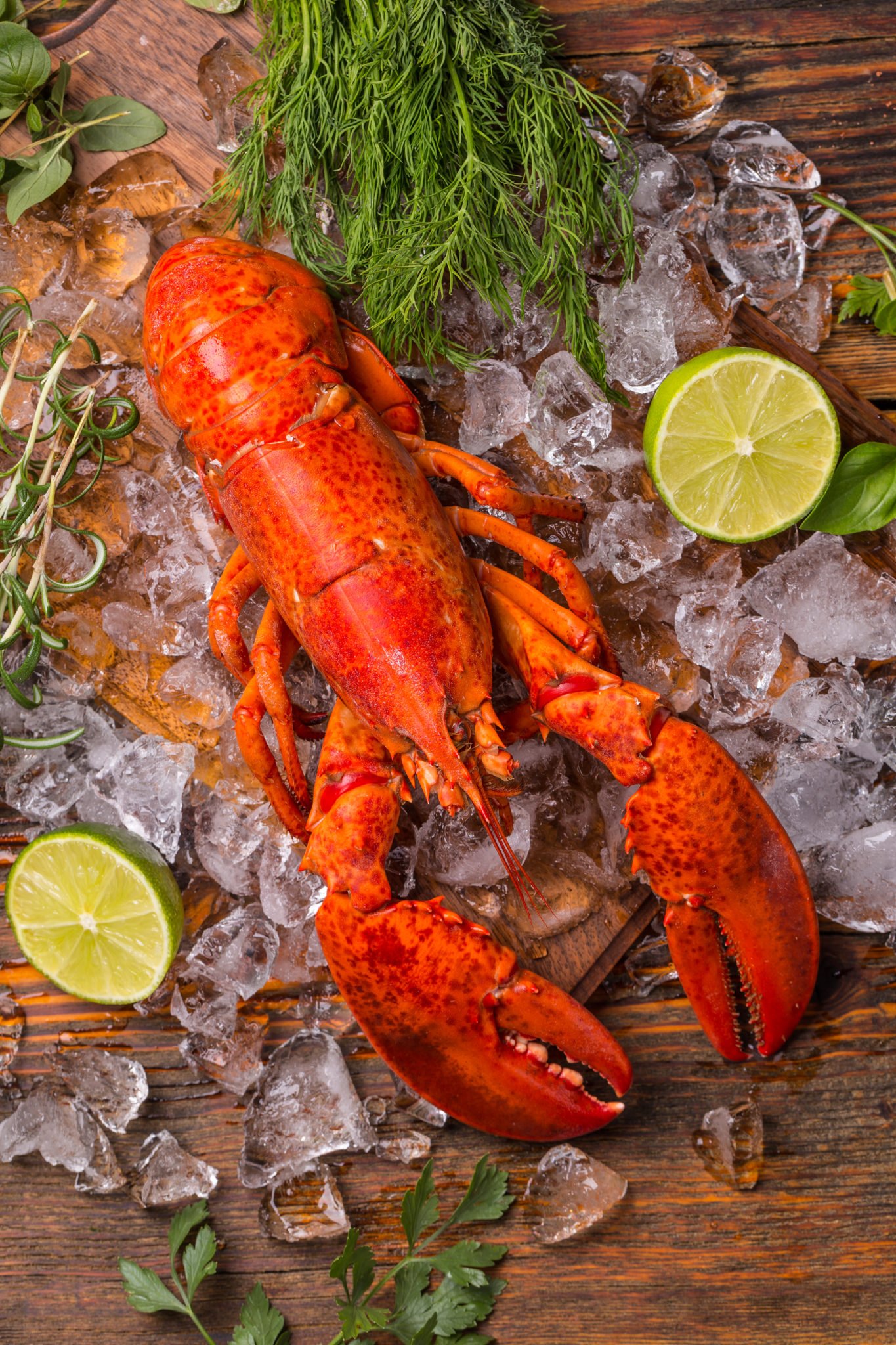 homard - Cookeo Mania